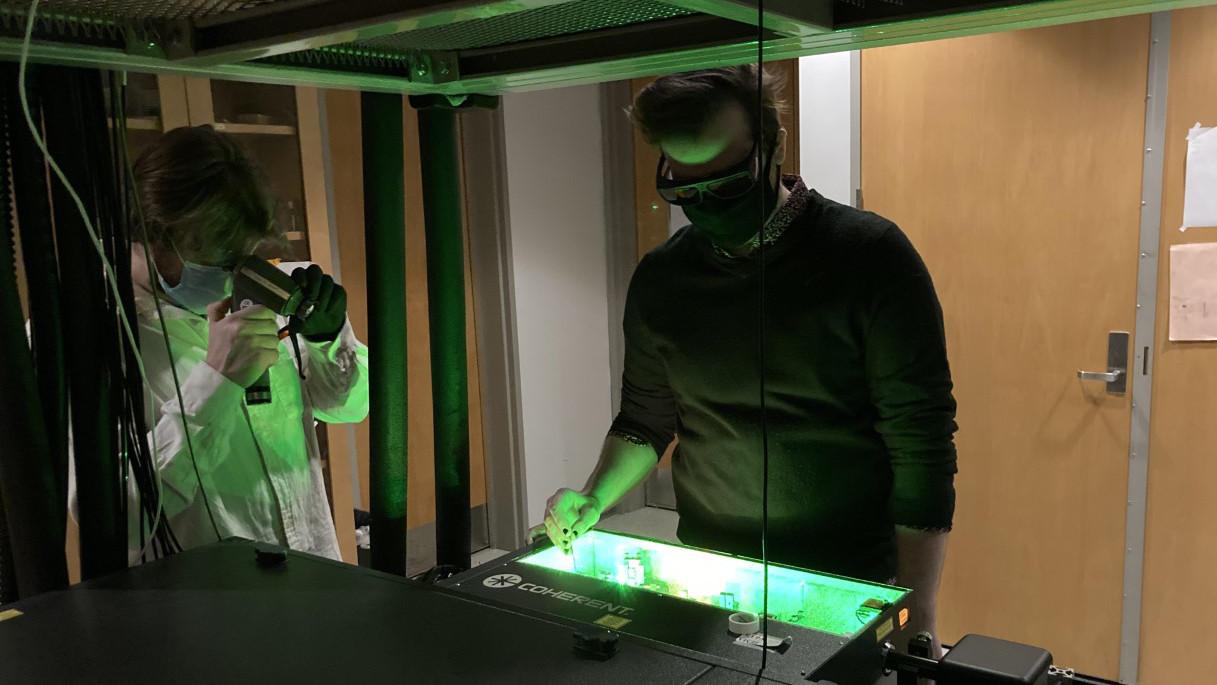 Descubren una bacteria que recurre a la mecánica cuántica para realizar ...