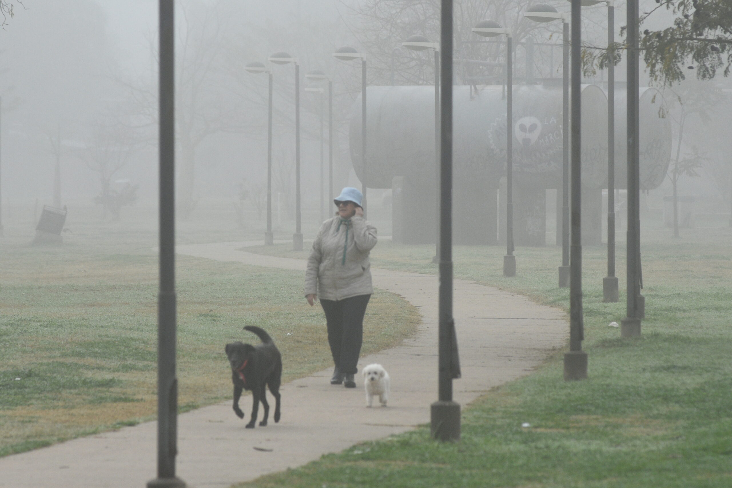 Miércoles gris en Santa Fe: amaneció con neblina, 99% de humedad y una ...