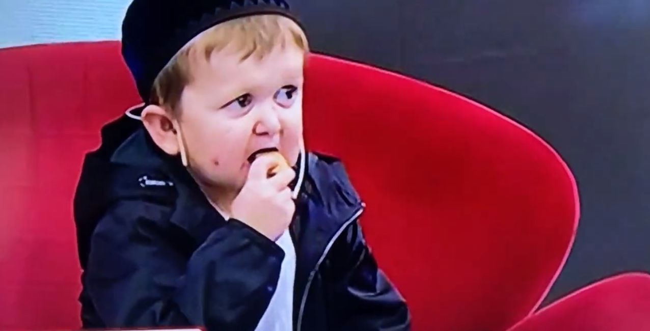 Hasbulla en Argentina: probó el dulce de leche y su reacción causó ...