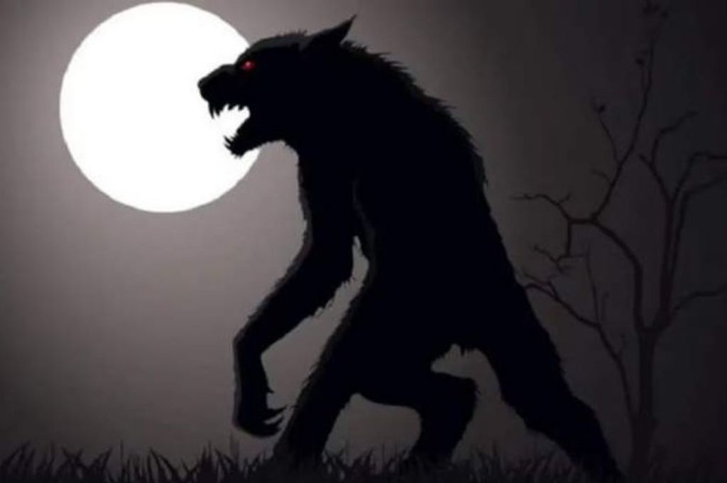 Terror en Corrientes por la escalofriante aparición de “El Lobizón ...