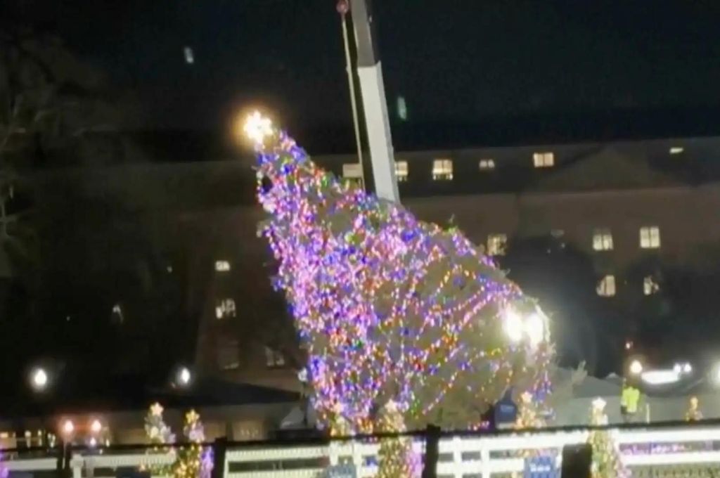 Video: así cayó el árbol de Navidad de la Casa Blanca después de 100 ...