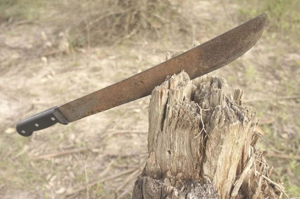Horror en San Javier: le cortó varios dedos a un hombre con un machete ...